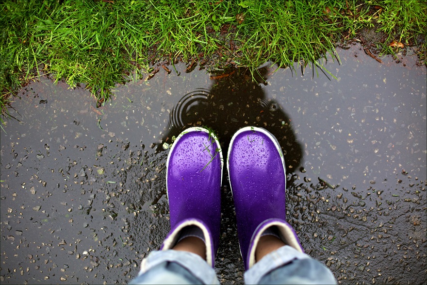 Getty Images Contributor Community